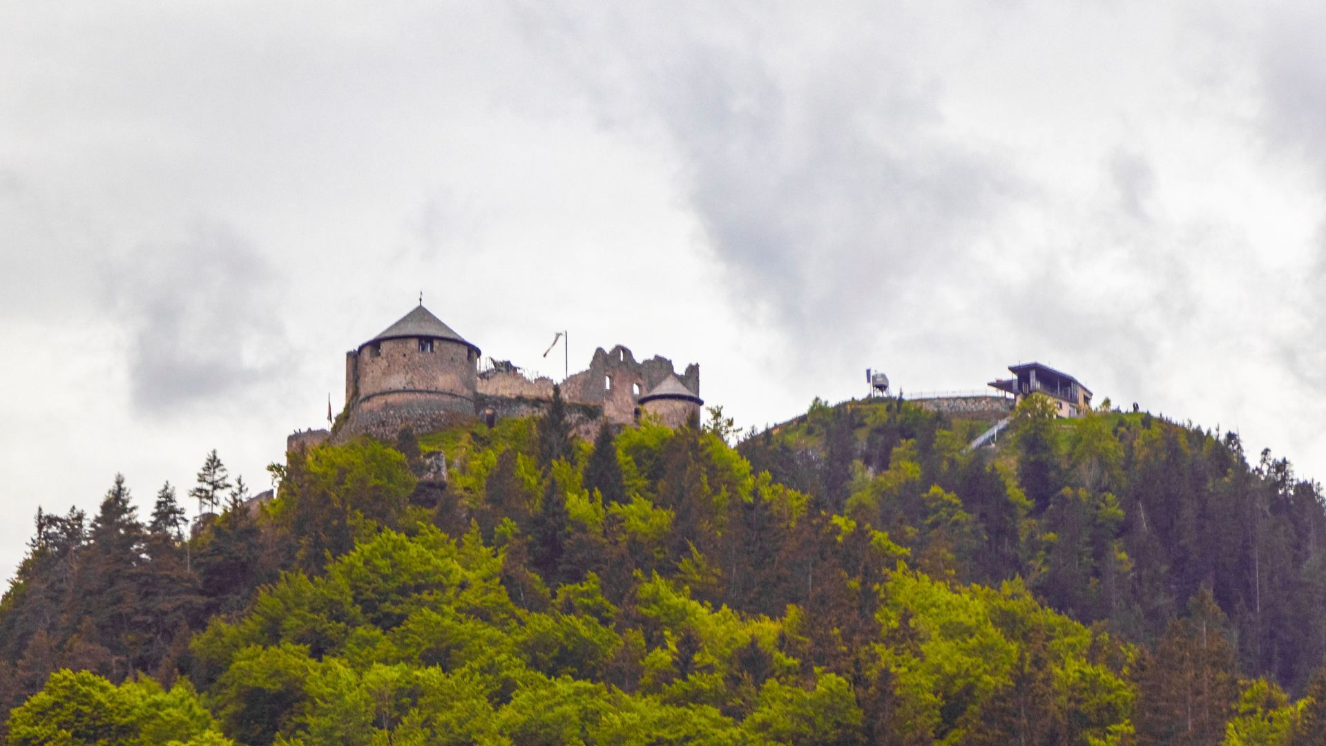 Highline179 Suspension Bridge (2026): Access, Heights & Crowd Tips ...