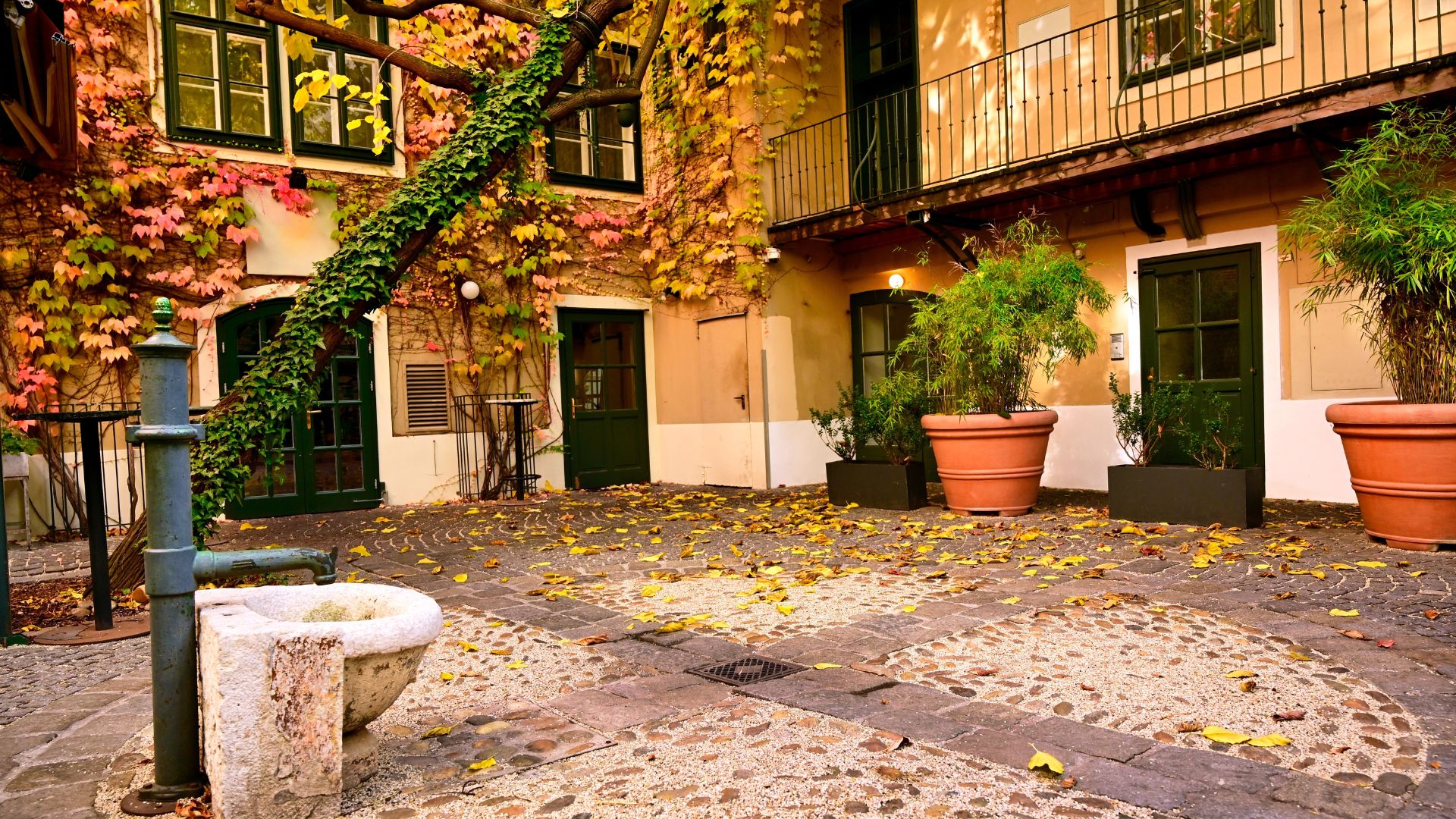 Best Time to Visit Vienna (2026): Weather, Crowds, Prices & Events by ...